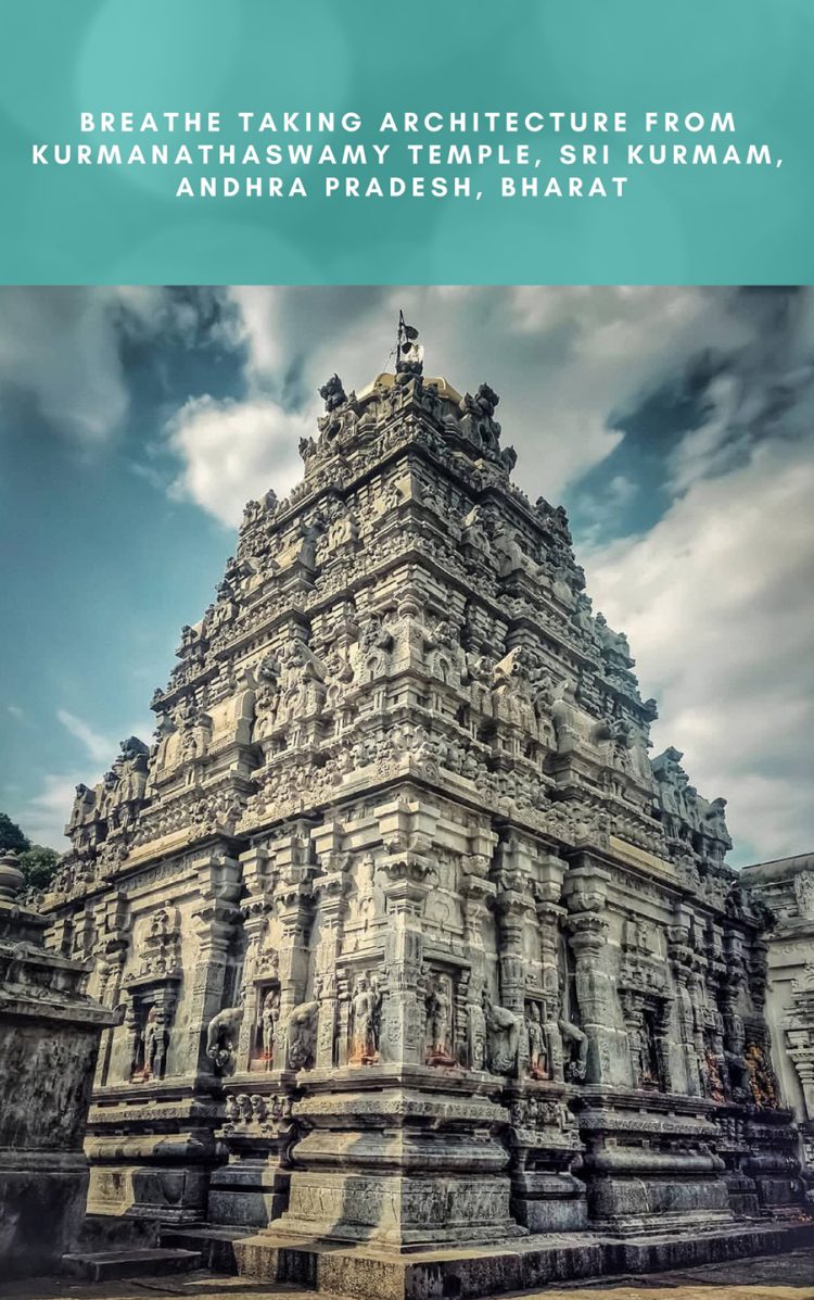 Wow India! | Hindu Ecosystem